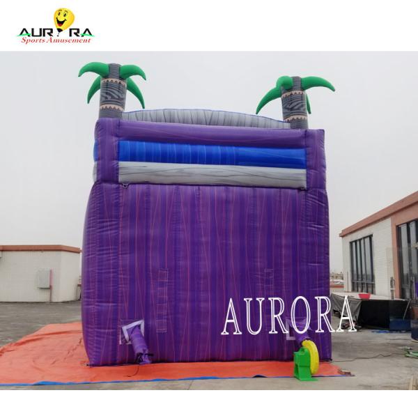 Quality Purple Giant Inflatable Water Slide Waterproof For Summer Fun for sale