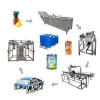 Quality Sterilizing SS316 1500T/Day Pineapple Processing Line for sale