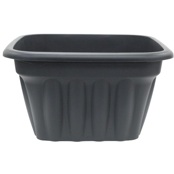 Quality 4.9 Inches Plastic PP Horticultural Plant Pots Indoor Cactus Farm Garden Plant for sale