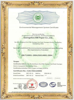 Lightweight Waterproof Customized Printing Decoration 1070D Tyvek Paper For Marathon