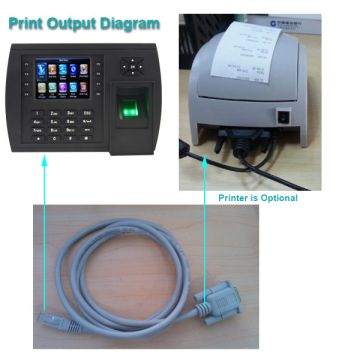 Quality Cloud Software Fingerprint Biometric Time Attendance System with TCP/IP and USB for sale