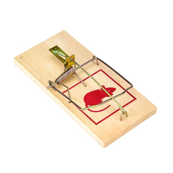 Quality Ultra Strong Spring Wooden Mouse Trap Poplar Rat Killer Catcher for Home House 27.8g for sale