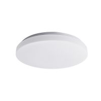 Quality 12w18W 24W 30W Power Consumption Led Ceiling Light For Bedroom Living Room for sale