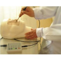 Quality College , hospital learning simulations nasal hemorrhage training model for sale