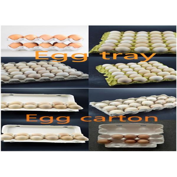 Quality Recycled Paper Egg Box Egg Tray Machine Price With 3000pcs Pulp Apple Tray for sale