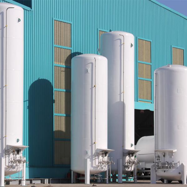 LNG vertical cryogenic storage tank