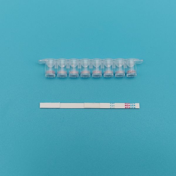 Quality Plastic Kanamycin Strip Test Kit High Sensitive White With Instant Results for sale