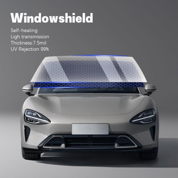 Quality Self Healing Perforated Auto Windshield Film TPU Car Windshield Protective Film for sale