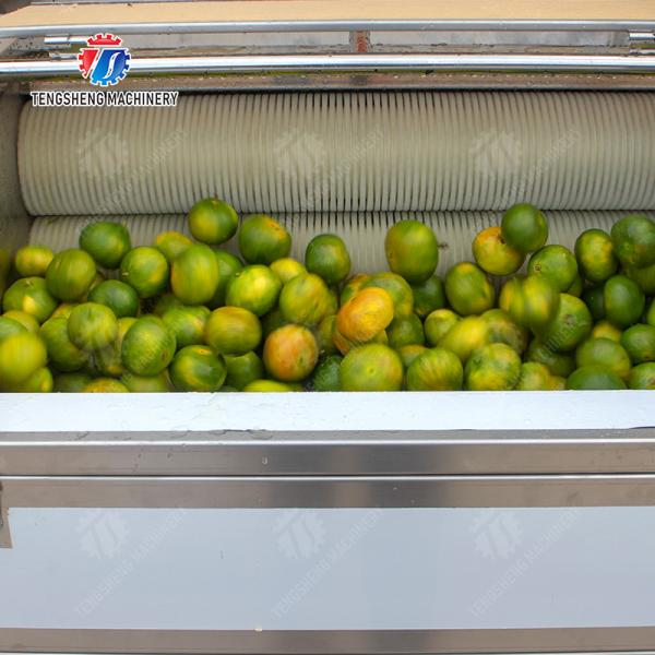 Quality Citrus cleaning production line Fruit Orange Wash Washer Washing Cleaning Dryer for sale