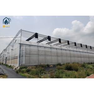 Quality Outdoor Large Multi Span Greenhouse Agriculture Metal Frame Plastic Greenhouse for sale