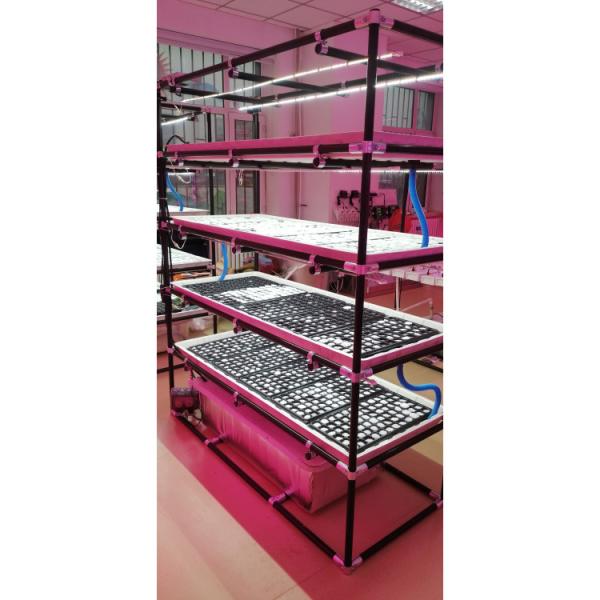 Quality Vertical Seedling Systems Commercial Ebb/Flow System Agricultural Greenhouses for sale