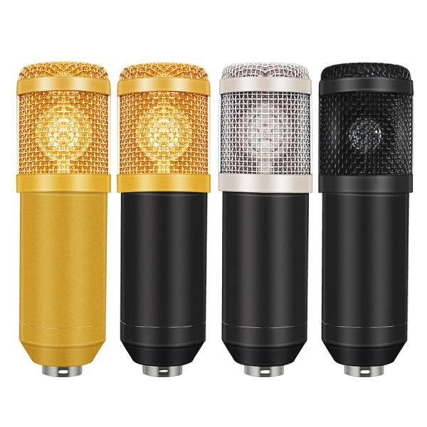 Quality V800 Microphone Bm 800 Professional Studio Condenser for sale
