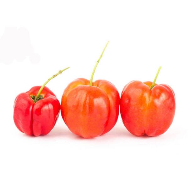 Quality Vitamin C 17% 25% Acerola Cherry Natural Fruit Extract Powder for sale