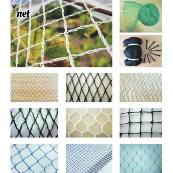 Quality 7GSM Bird Proof Net Green Bird Proof Netting For Fruit Trees for sale