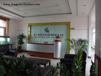 China Factory - Guangdong Hongfa Import & Export Co., Ltd.