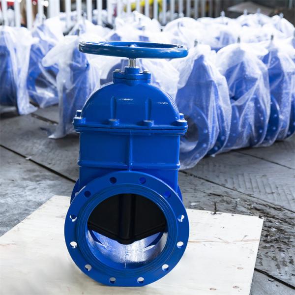 Quality DN300 Sewage Gate Valve Ductile Iron QT450 QT400 Elastic Pn10 Gate Valve for sale
