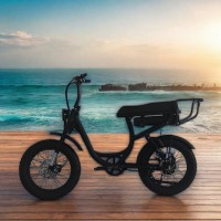 Quality Max Speed 42km/h 48V 13Ah/14Ah Lithium Battery Electric Bike for Female City for sale