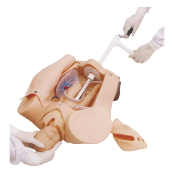 Quality Environmental Friendly maternal simulator with Delivery Mechanical Parts for sale