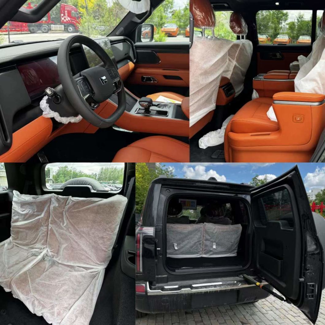 Polar Stone 01 2023model Premium 6 Seats Version