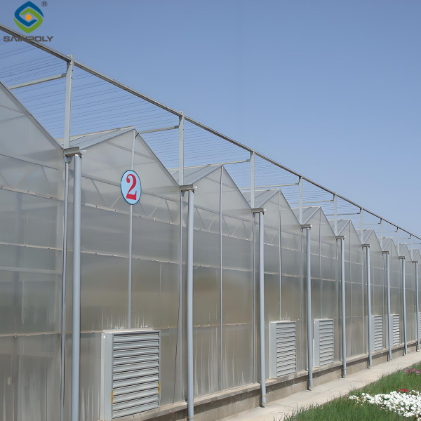 Quality Strong Structure Galvanized Venlo Type Greenhouse Commerical Green House for sale
