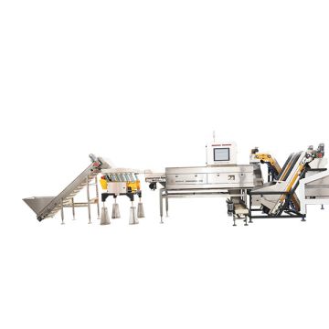 Quality Auto Walnut Shelling Machine With Kernel Shell Separation for sale