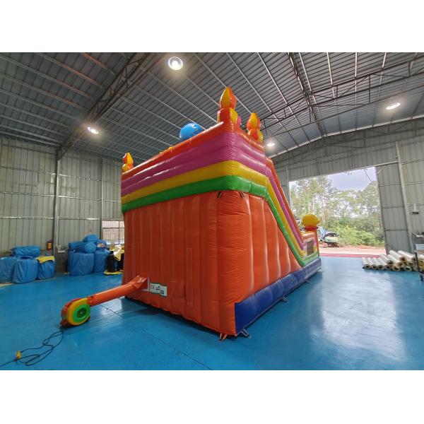 Quality Tarpaulin Inflatable Water Slides Cartoon Themed Kids Water Jumping Castle for sale