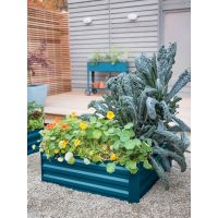 Quality Farmhouse 80x30cm Raised Metal Garden Bed For Flower for sale
