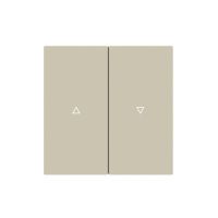 Quality Smart Curtain Control Switch Plastic Material 250V AC 10A for sale