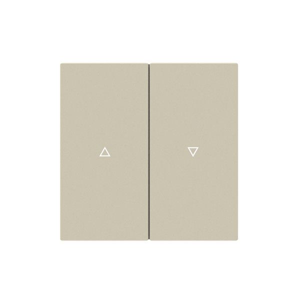 Quality Smart Curtain Control Switch Plastic Material 250V AC 10A for sale