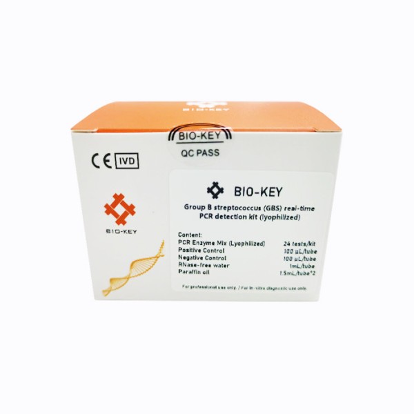 Quality Group B Streptococcus GBS Real Time PCR Detection Kit Lyophilized 24 Tests/Kit for sale