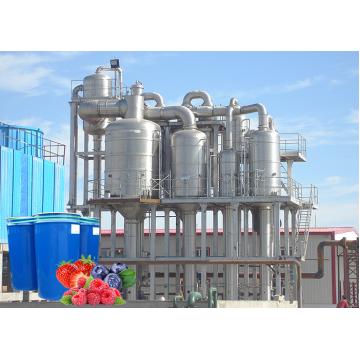 Quality Beverage SUS 304 Jam Berry Processing Equipment for sale