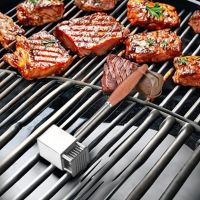 Quality Defrosting Steaks and Poultry Made Easy with 36-Blade Stainless Steel Meat for sale