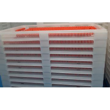 Quality Softgel Plastic Drying Trays for sale