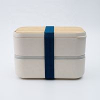 Quality Double Layer Bamboo Fiber Lunch Box with Cutlery and Movable Divider Blue Pink for sale
