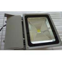 China 70-100W Flood Light, LED Light Manufacturers in China factory