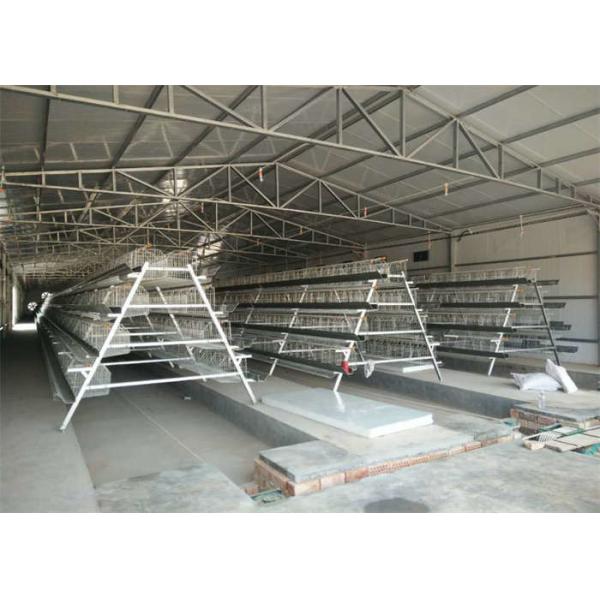 Quality 4 Tier Layer Cage For Layer Farming for sale