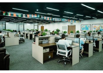 China Factory - SHAN DONG JINTAI COMMERCE CO., LTD