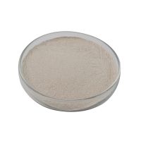 Quality Hydrolysis enzyme 50,000u/g Alpha Amylase Powder Supplement Improve Feed for sale