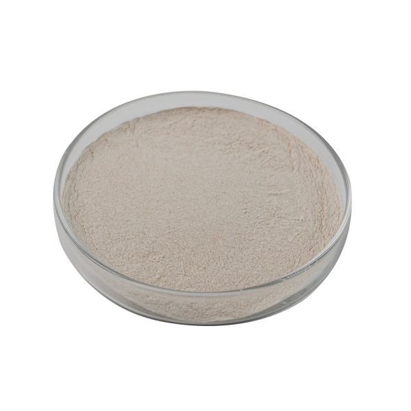 Quality 20000U White Alpha Amylase Powder Cas 9000 90 2 For Premix -Heat Stable Alpha Amylase for sale