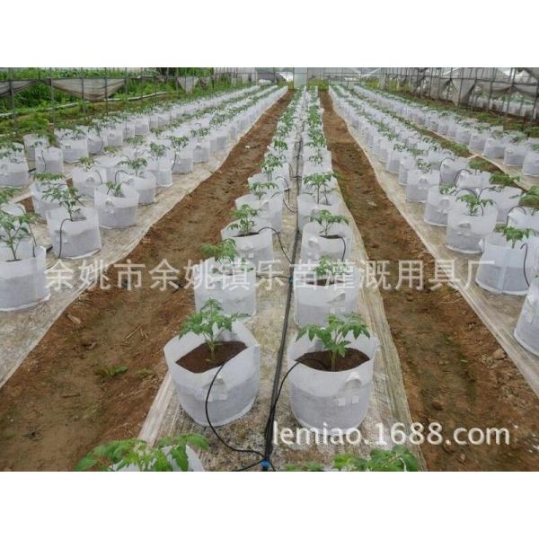 Quality Customizable Drop Arrows for Pot Farm Irrigation Agriculture Irrigation for sale