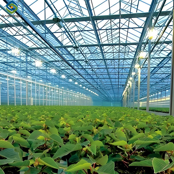 Quality Multi Wall Polycarbonate Gothic Style Greenhouse With Hollow Sheet for sale
