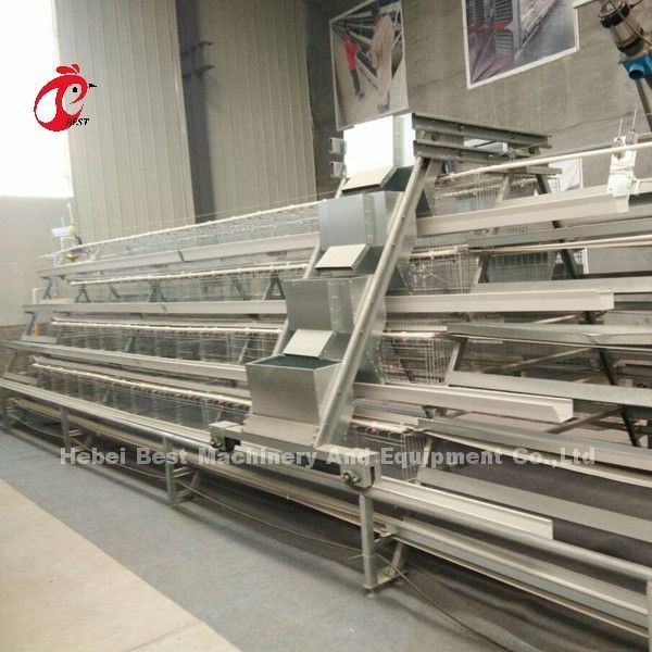 Quality Semi Automatic Poultry Layer Cage Feeding System 1.5KW 380V  Doris for sale