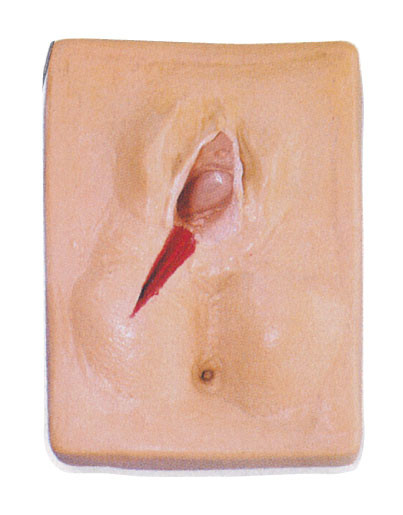 Quality Realistic touch soft PVC Child Birth Simulator Vulva Suturing training for sale