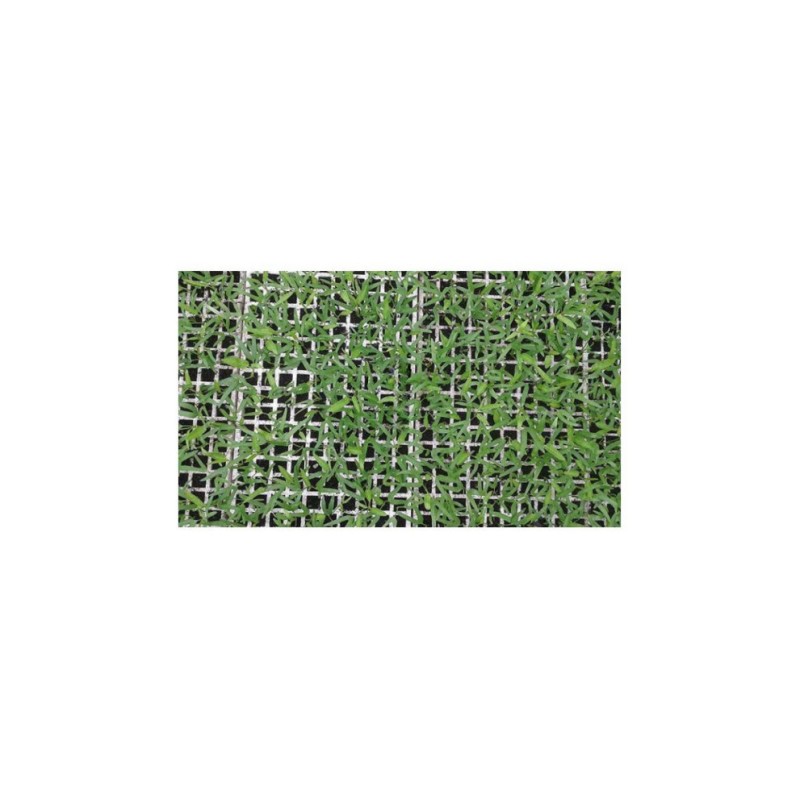 Seedling tray in use