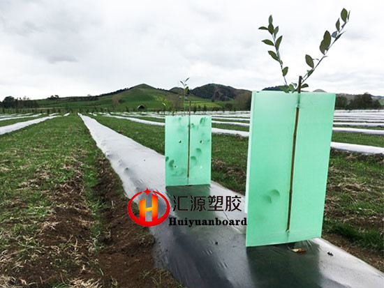 Quality Triangular Fireproof 600gsm Corflute Plant Guards for sale