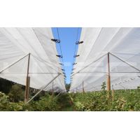 Quality Durable Hail Net made with 100 percent virgin HDPE material providing hail for sale