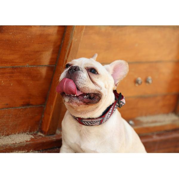 Quality Personalized Reflective Martingale Dog Collars And Matching Leashes Combo for sale