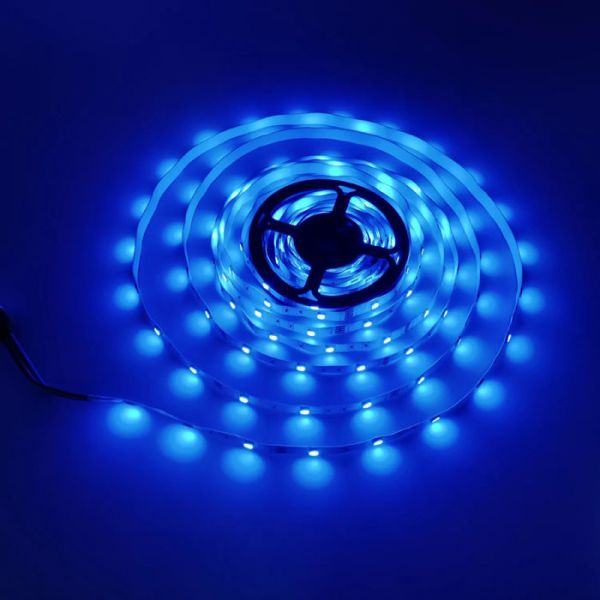 Quality 12v Rgb Led Strip Lights Smd 5050 Non Waterproof IP20 Color Changing LED Rope for sale