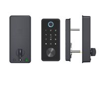 Quality Zinc Alloy Security Ttlock Door Fingerprint Electronic Smart Lock For Hotel for sale