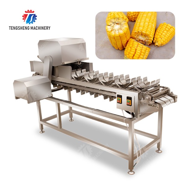 Quality Fruit and vegetable slicing machine  Apple papaya chieh-qua pumpkin wax gourd Potato Carrot radish Taro watermelon Hami Melon cucumber towel gourd balsam pear Baby Cabbage Chinese Cabbage for sale